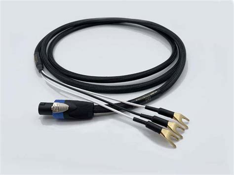 Image result for High Level Subwoofer Connection