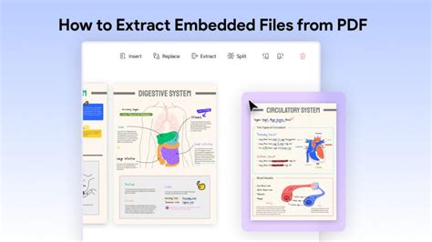 Image result for Embedded Files