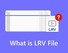 Image result for How to Tag LRV Files