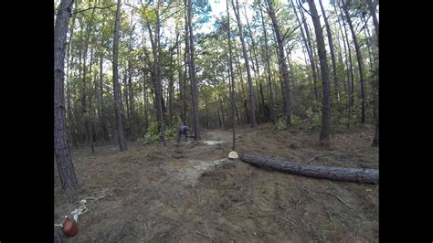 Image result for Tree Pull Fail