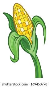 5,479 Corn stalk illustration Images, Stock Photos & Vectors | Shutterstock