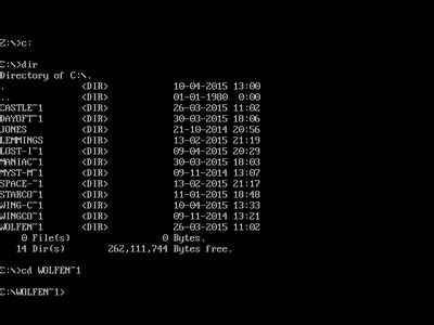 Image result for How to Print to a File in DOSBox