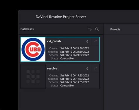 Image result for DaVinci Resolve Project Server Setup