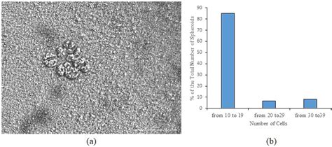 Image result for T-cell Reprogramming