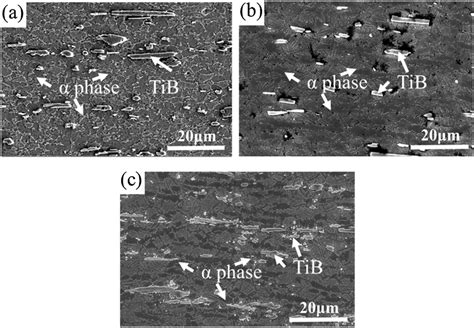 Image result for Deform 3D Microstructure