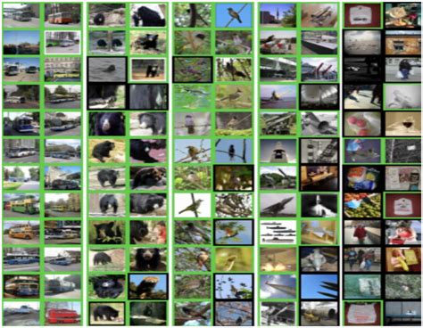 Image result for Image Net Dataset Image Examples