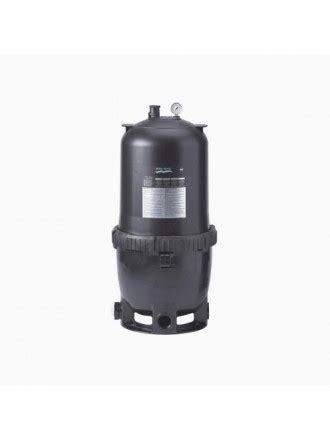 Image result for Older Sta-Rite Filter