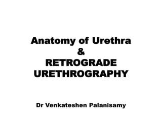 Image result for Retrograde Urethrogram Template