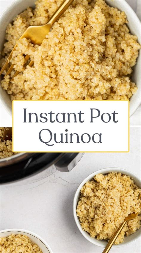 Instant Pot Quinoa - 40 Aprons