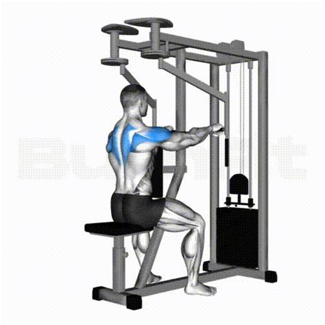 Reverse Pec Deck Fly Machine - Burnfit – Real growth created by workout ...