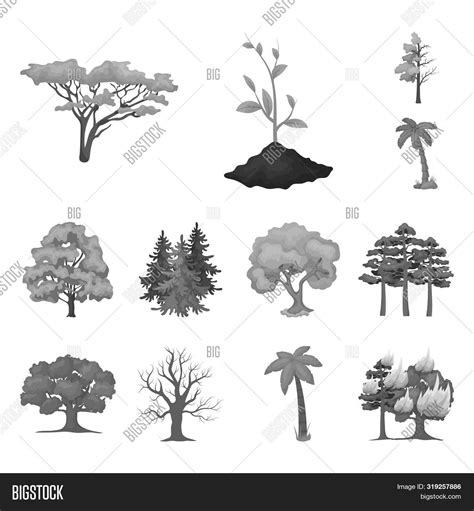 Image result for Tree Bitmap Algorithm