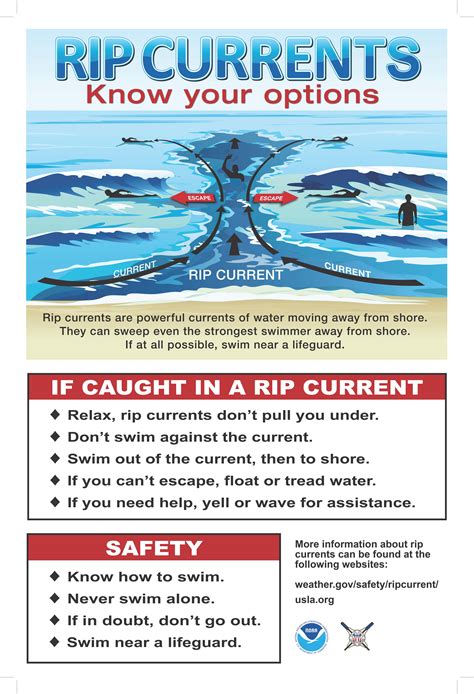 Image result for Rip Current Signs