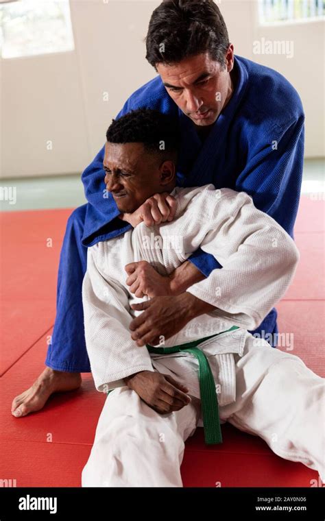 Image result for Stranglehold MMA