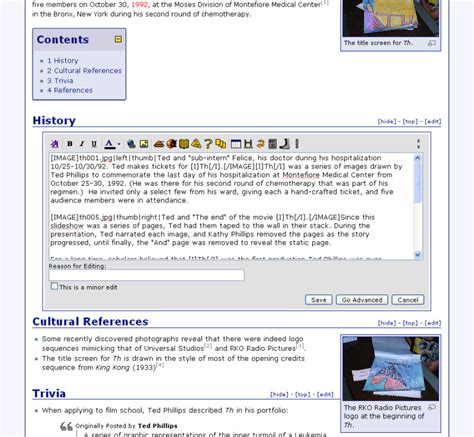 Image result for Inline Screen