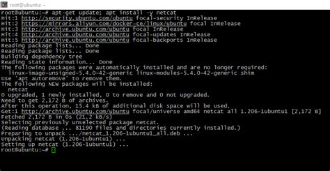 Image result for Install Ncat On Linux Using APG Install