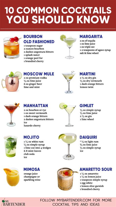 Image result for Cocktail Basics