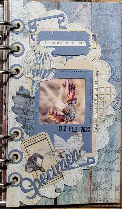 Image result for My Creativity File ECD