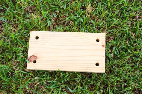 Image result for How to Build a Tree Swing