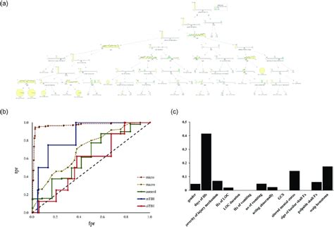 Image result for Decision Tree Supervised Learning