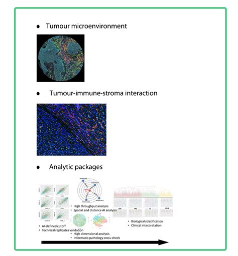 Image result for Tissue Microarray Multiplex IHC NCR