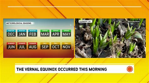 Image result for My NetZero