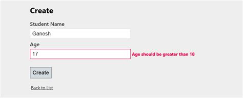 Image result for Data Annotation Custom Attribute