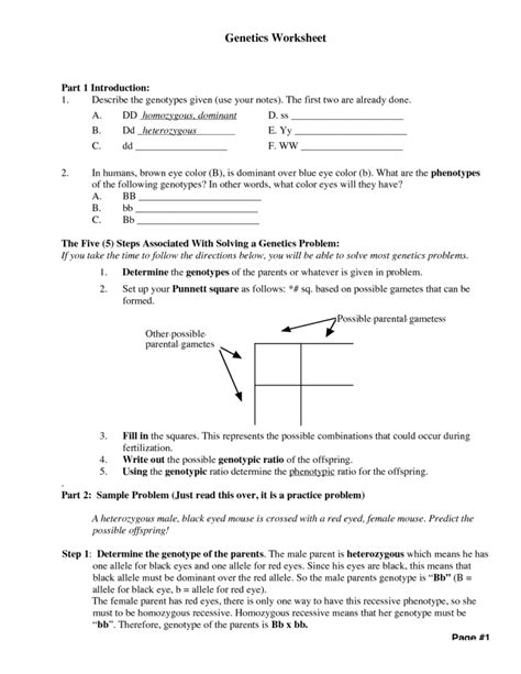 Image result for Mendelian Genetics Worksheet Answer Key