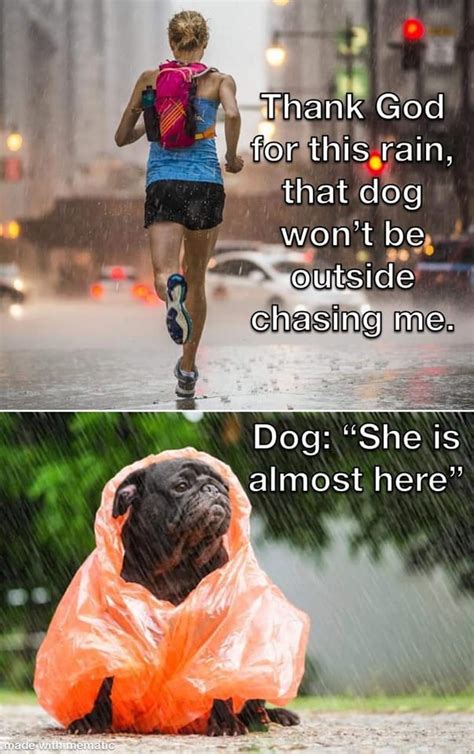 Image result for Runner Memes