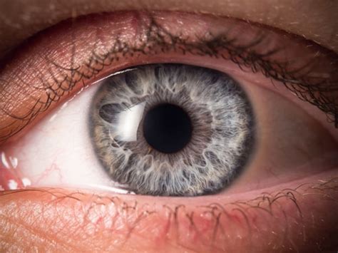 Image result for Aqueous Humor Eye Function