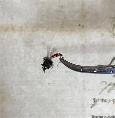 Image result for Caddies Emerger Fly Pattern