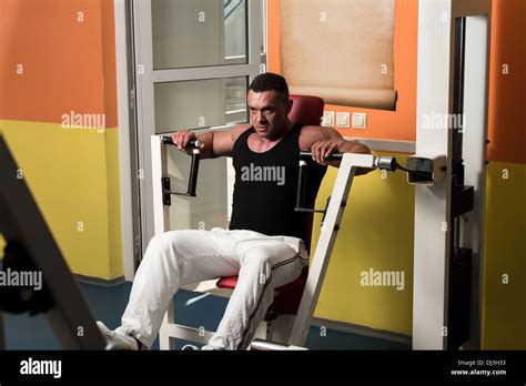 Image result for Chest Exercise Machine