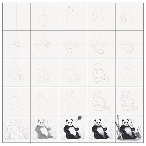 Image result for How to Draw a Panda Tutorial