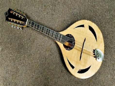 Image result for 10 String Mandolin