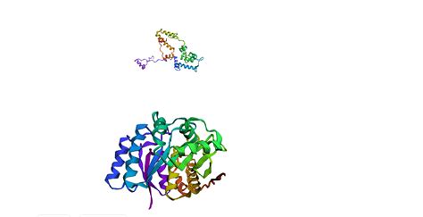 Image result for Machine Learning Protein Folding