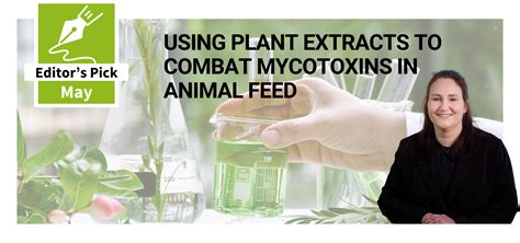 Image result for Insect Production