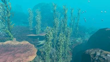 Image result for Stranded Deep Mods