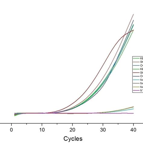 Image result for Reprogramming Factors