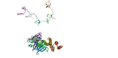 Image result for Machine Learning Protein Folding