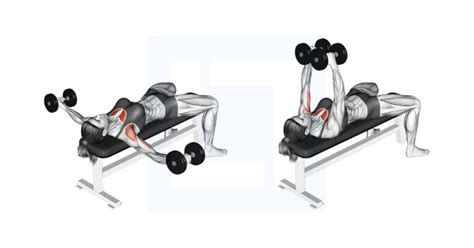 Dumbbell Fly - Guide, Benefits, and Form