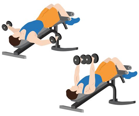 Image result for Inverted Chest Fly