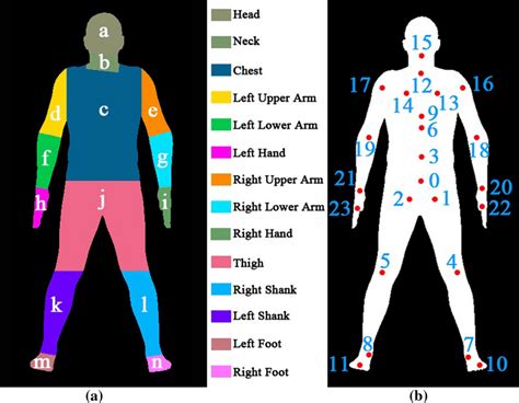 Image result for Body Parts Classifier Example