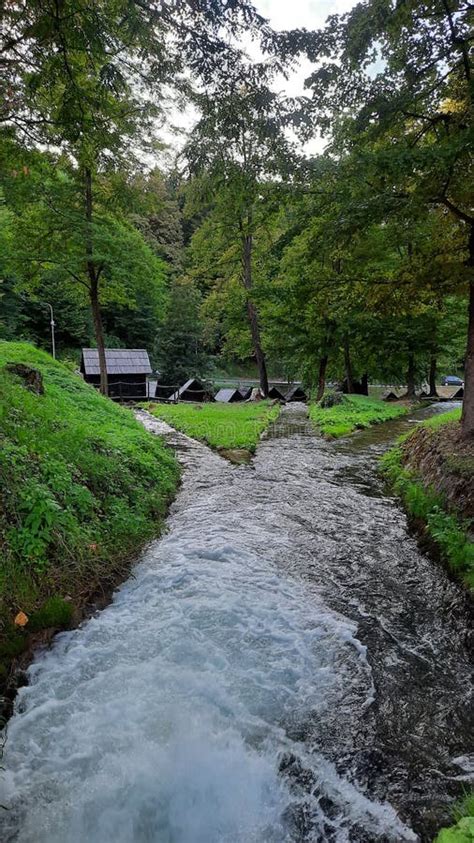 Image result for Explicacion Del Flumejava