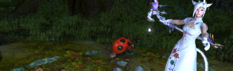 Image result for Final Fantasy XIV Classes