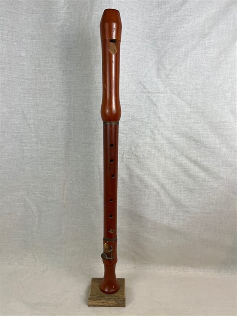 Image result for Tenor Recorder Performance