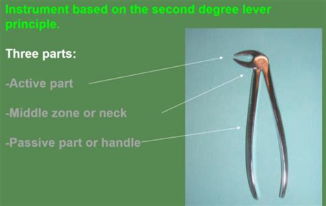 Image result for Principles of Tooth Extraction