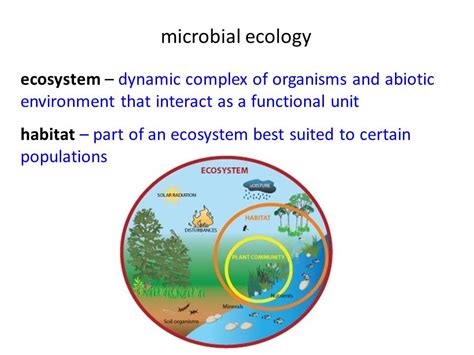 Image result for Microbial Ecology