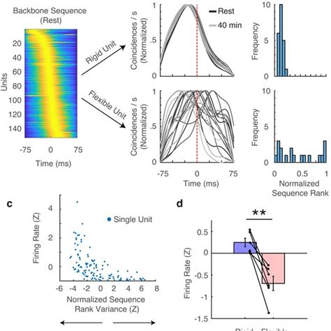 Image result for Backbone Slowed
