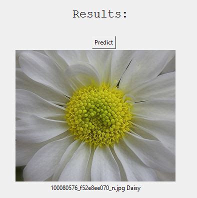 GitHub - yehudapashay/Flower_Classification: Flowers classification ...