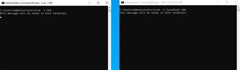 Image result for Install Ncat On Linux Using APG Install