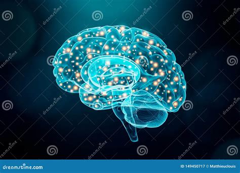 Image result for Human Brain Memory